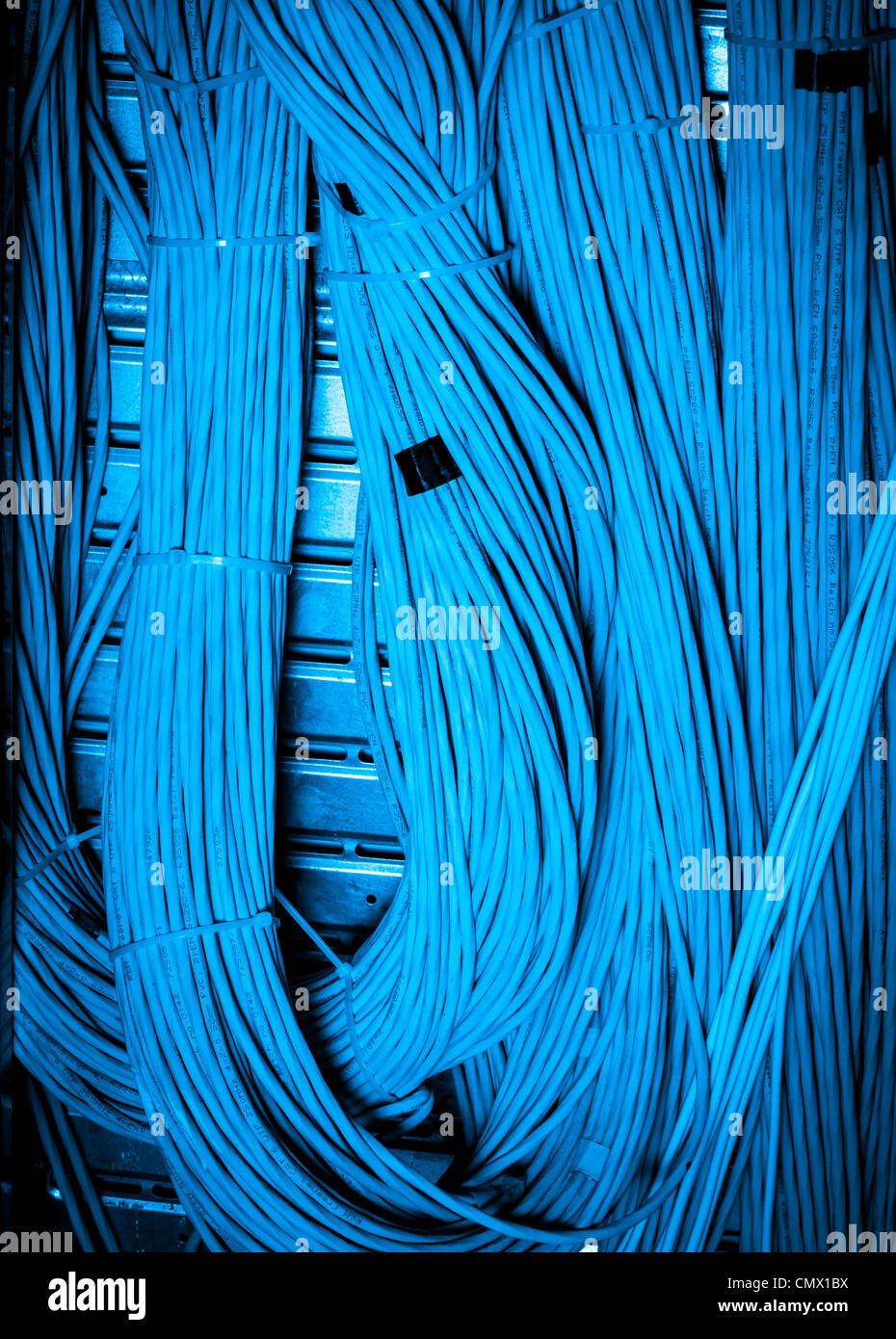 close up of network cables Stock Photo - Alamy