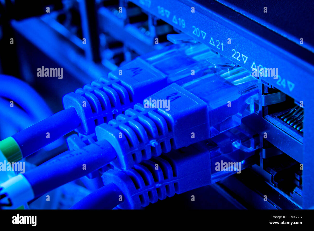 network cables connected to hub Stock Photo - Alamy