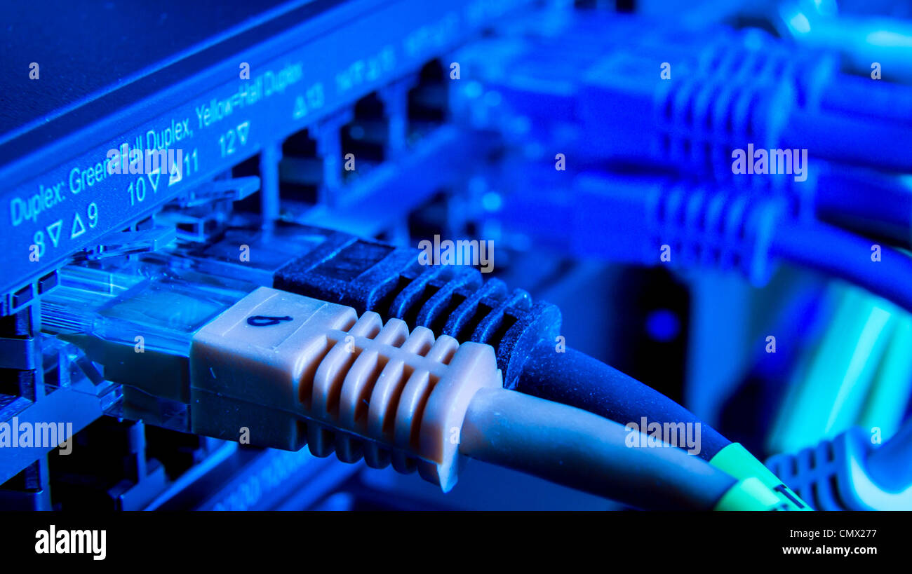 network cables connected to hub Stock Photo - Alamy