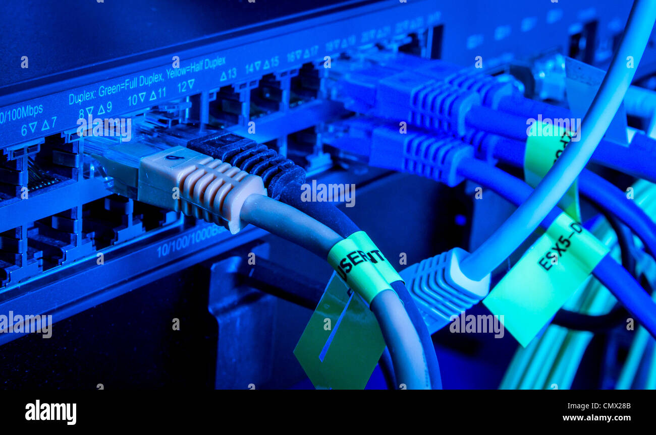 network cables connected to hub Stock Photo - Alamy