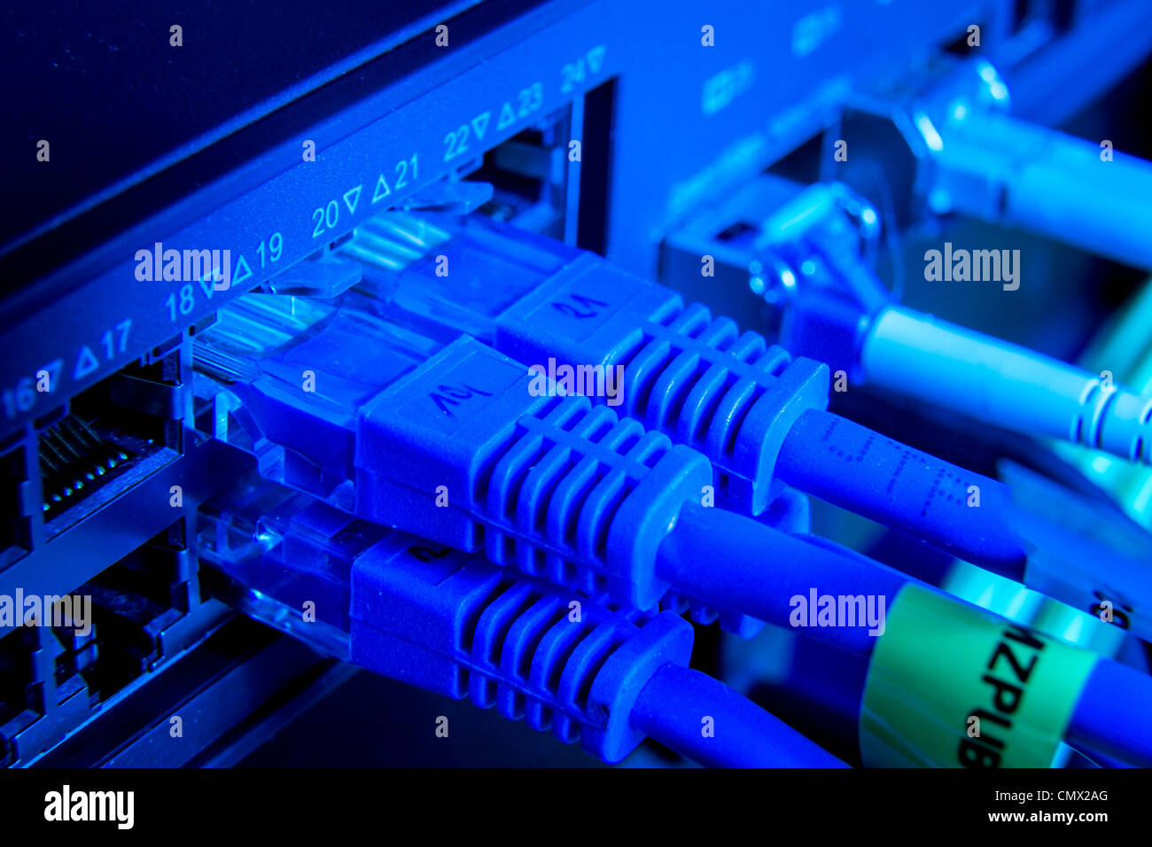 network cables connected to hub Stock Photo - Alamy