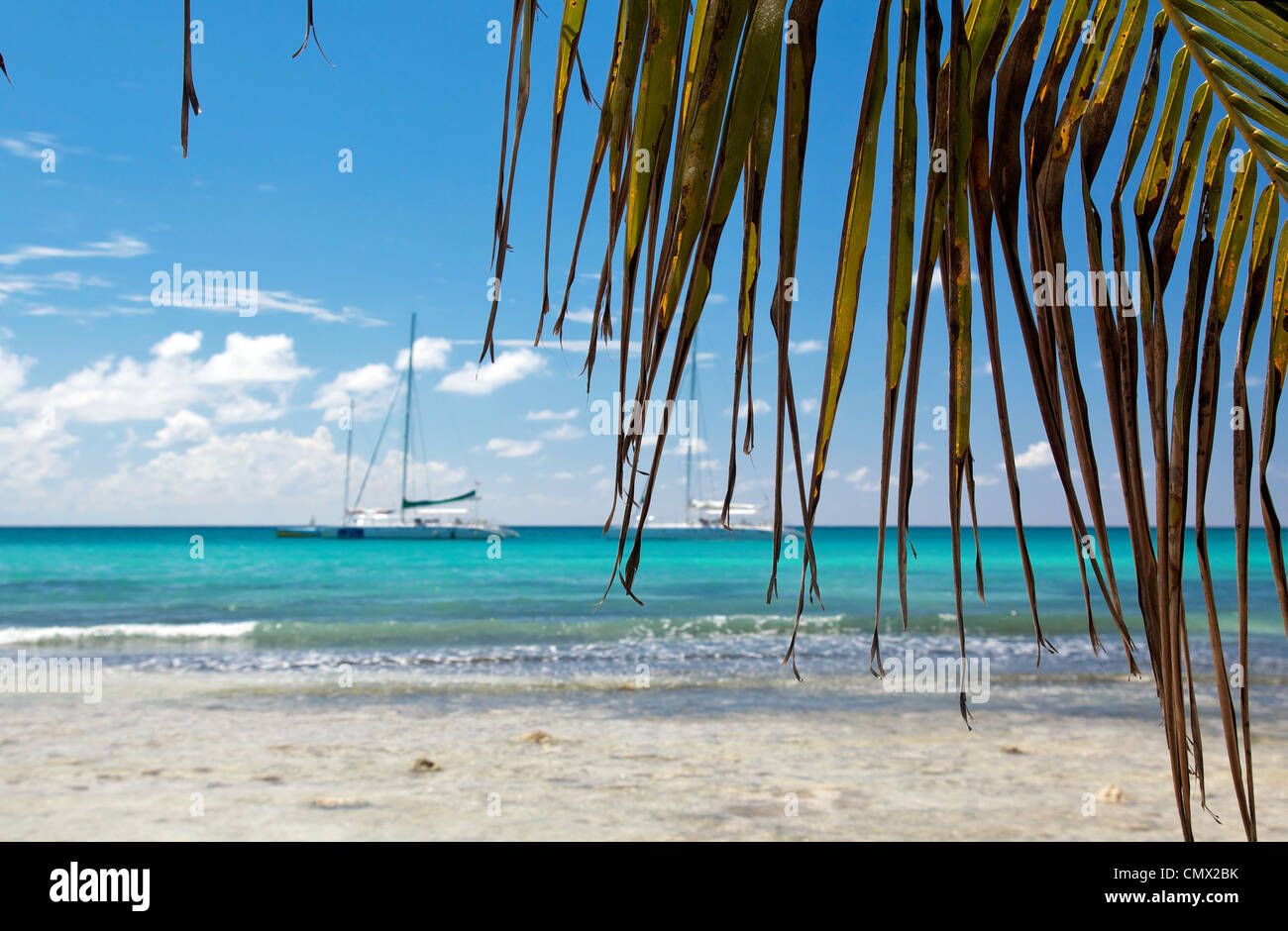 Caribbean paradise hi-res stock photography and images - Alamy