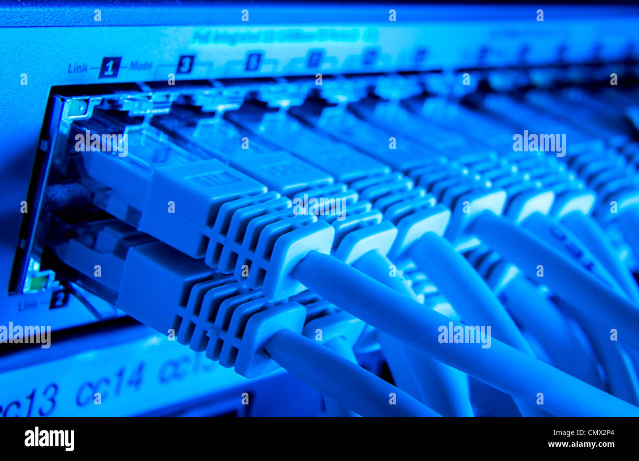 close up of network cables connected to switch Stock Photo - Alamy