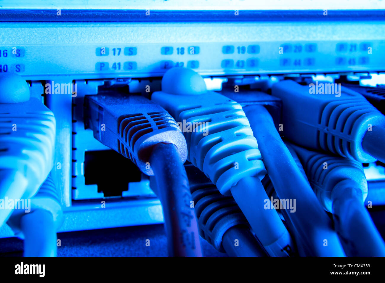 close up of network cables connected to switch Stock Photo - Alamy