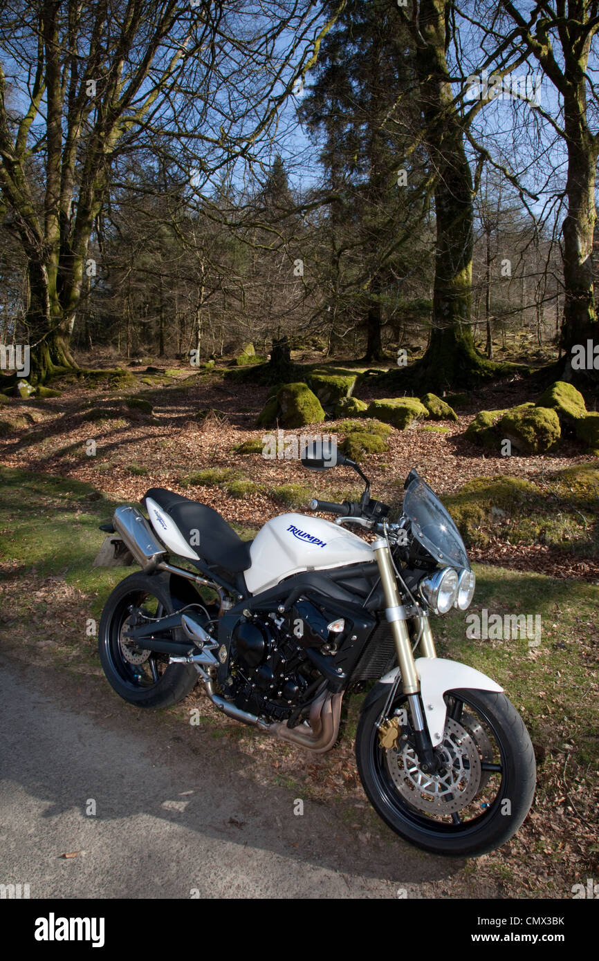 White Triumph Street Triple 675 motorcycle parked on a Devon roadside ...