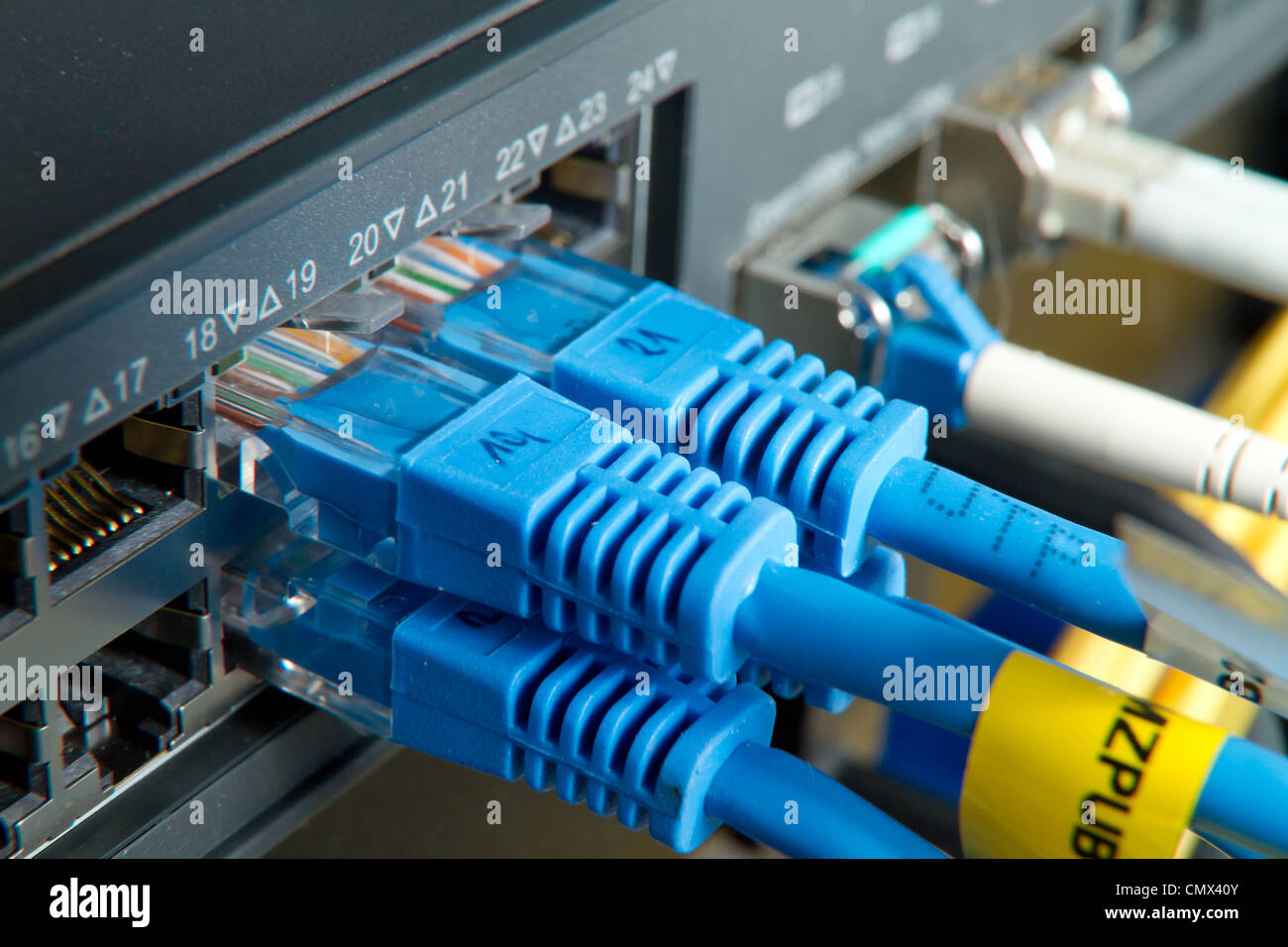 network cables connected to hub Stock Photo - Alamy