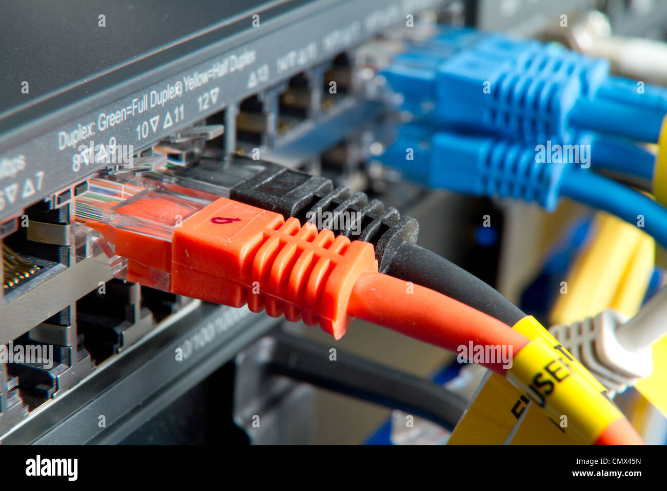 network cables connected to hub Stock Photo - Alamy