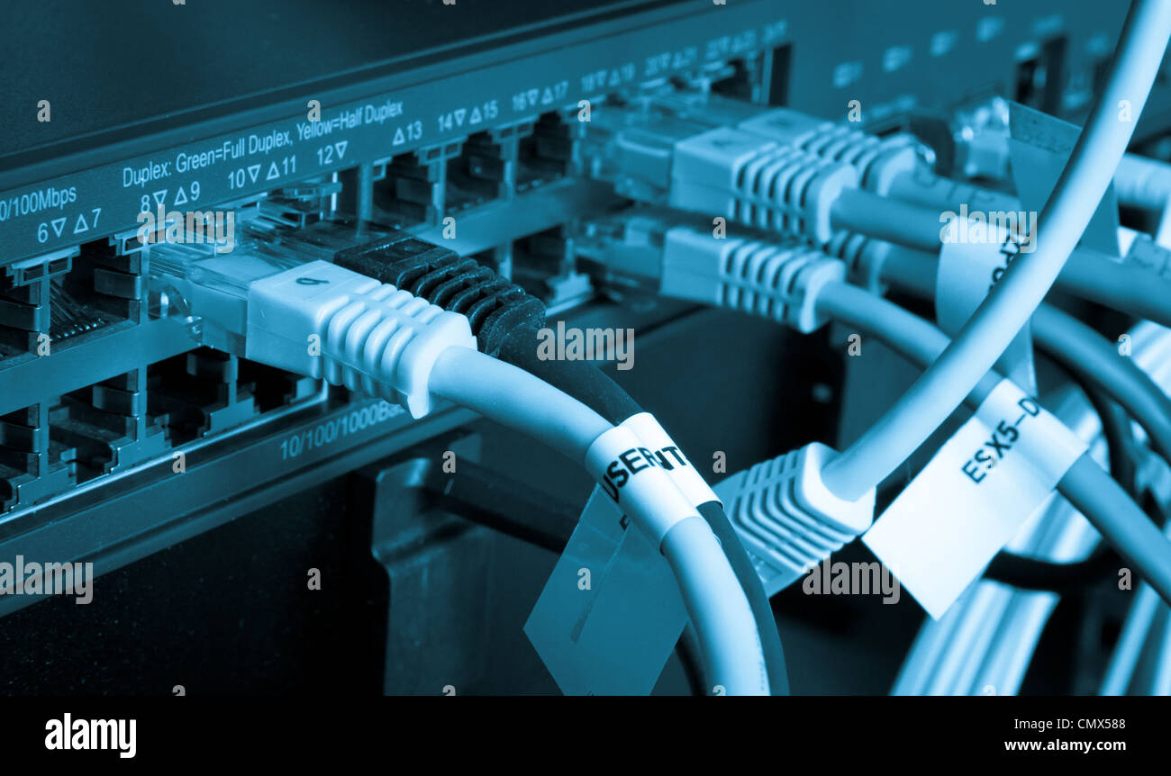 network cables connected to hub Stock Photo - Alamy
