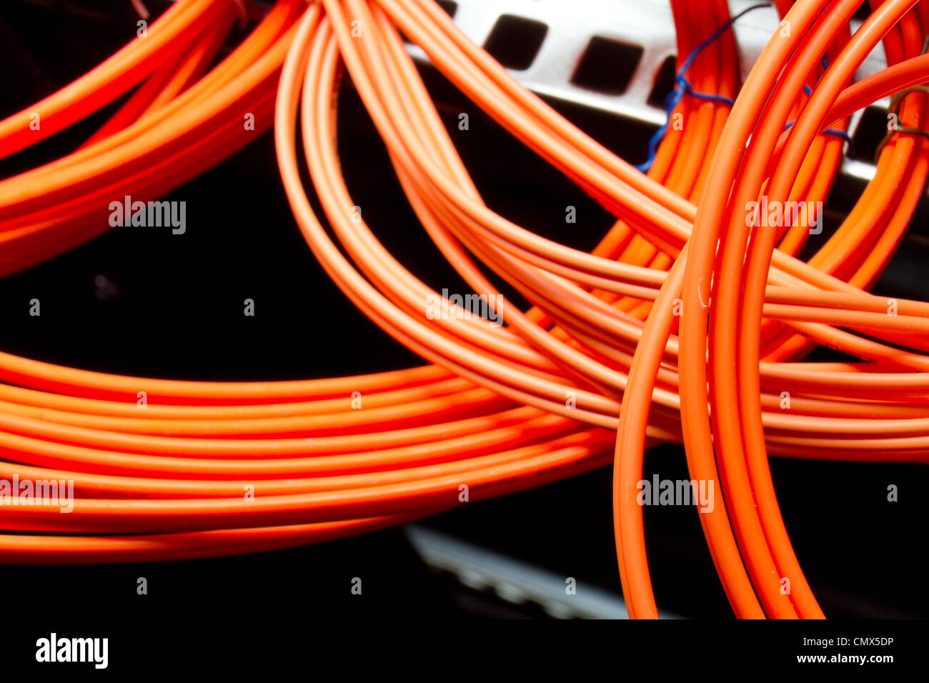 close up of network cables Stock Photo - Alamy