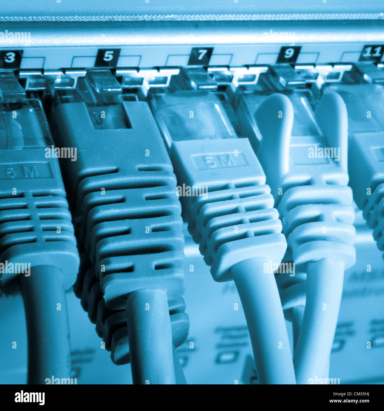 close up of network cables connected to switch Stock Photo - Alamy