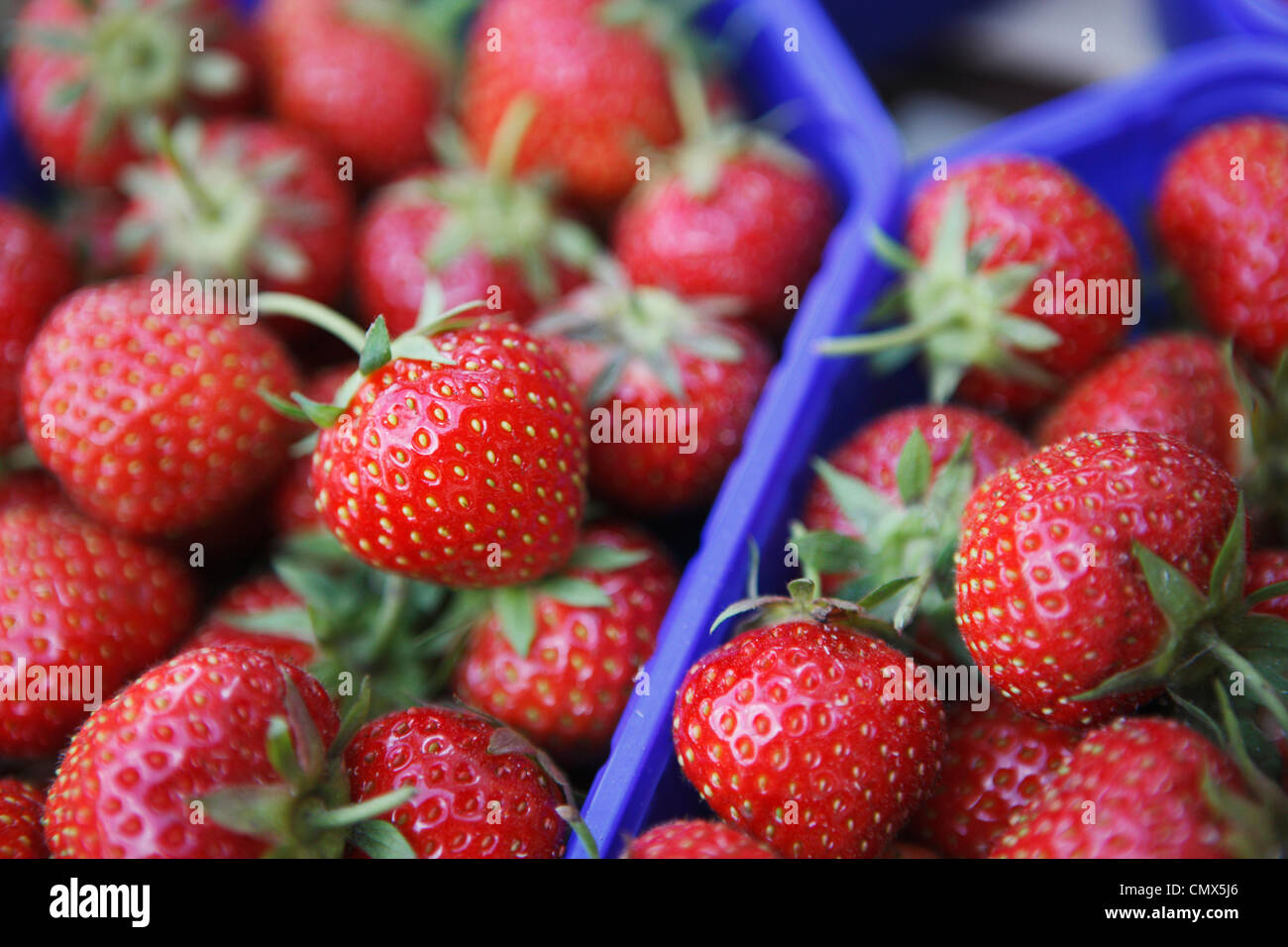 Strawberries in tray at market hi-res stock photography and images - Alamy
