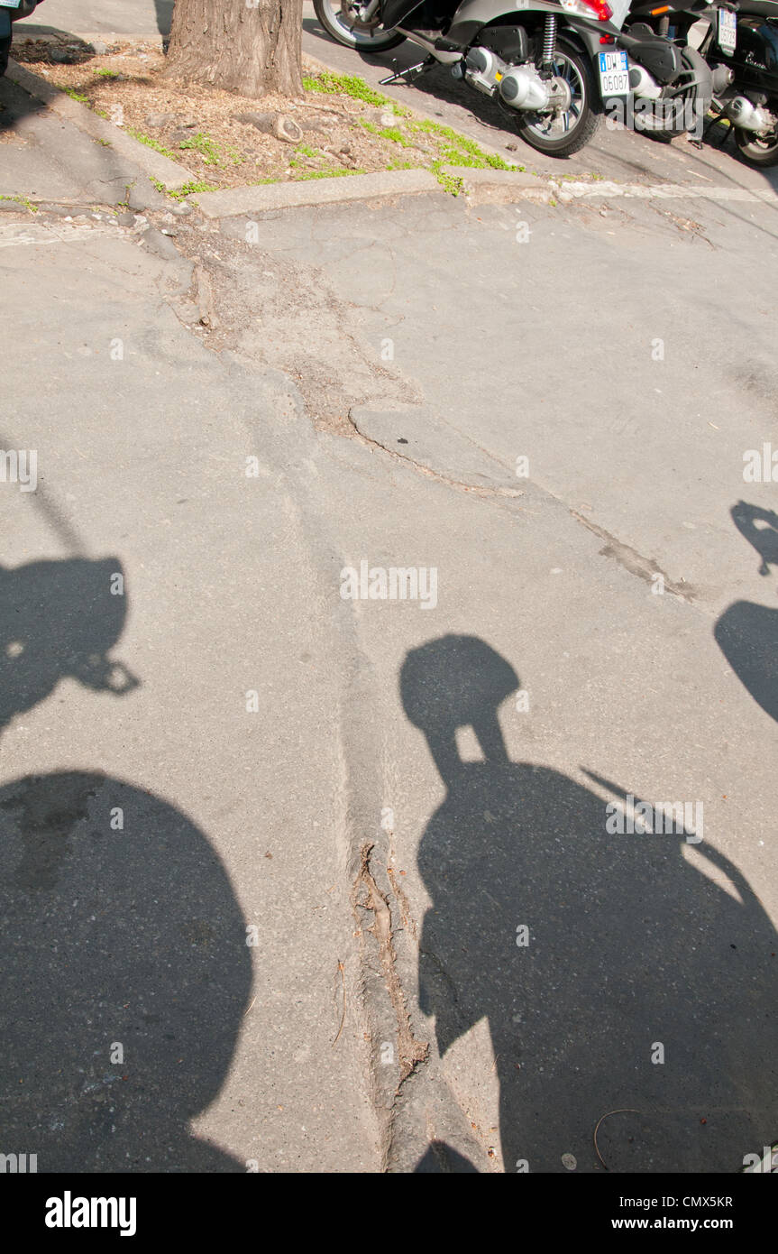 Tree roots damage hi-res stock photography and images - Alamy