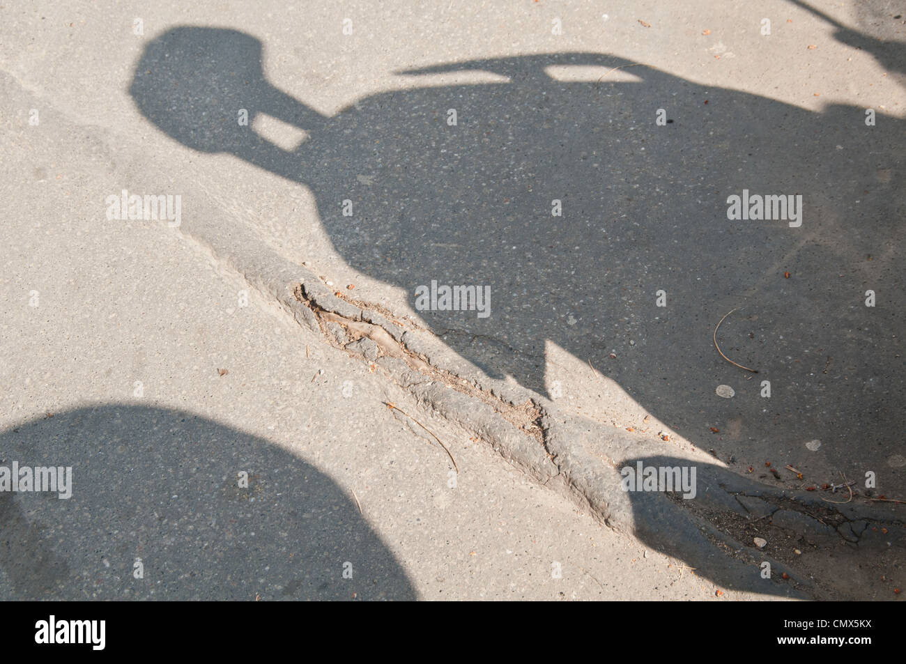 Damage from tree roots to a city pavement / walkway Stock Photo - Alamy
