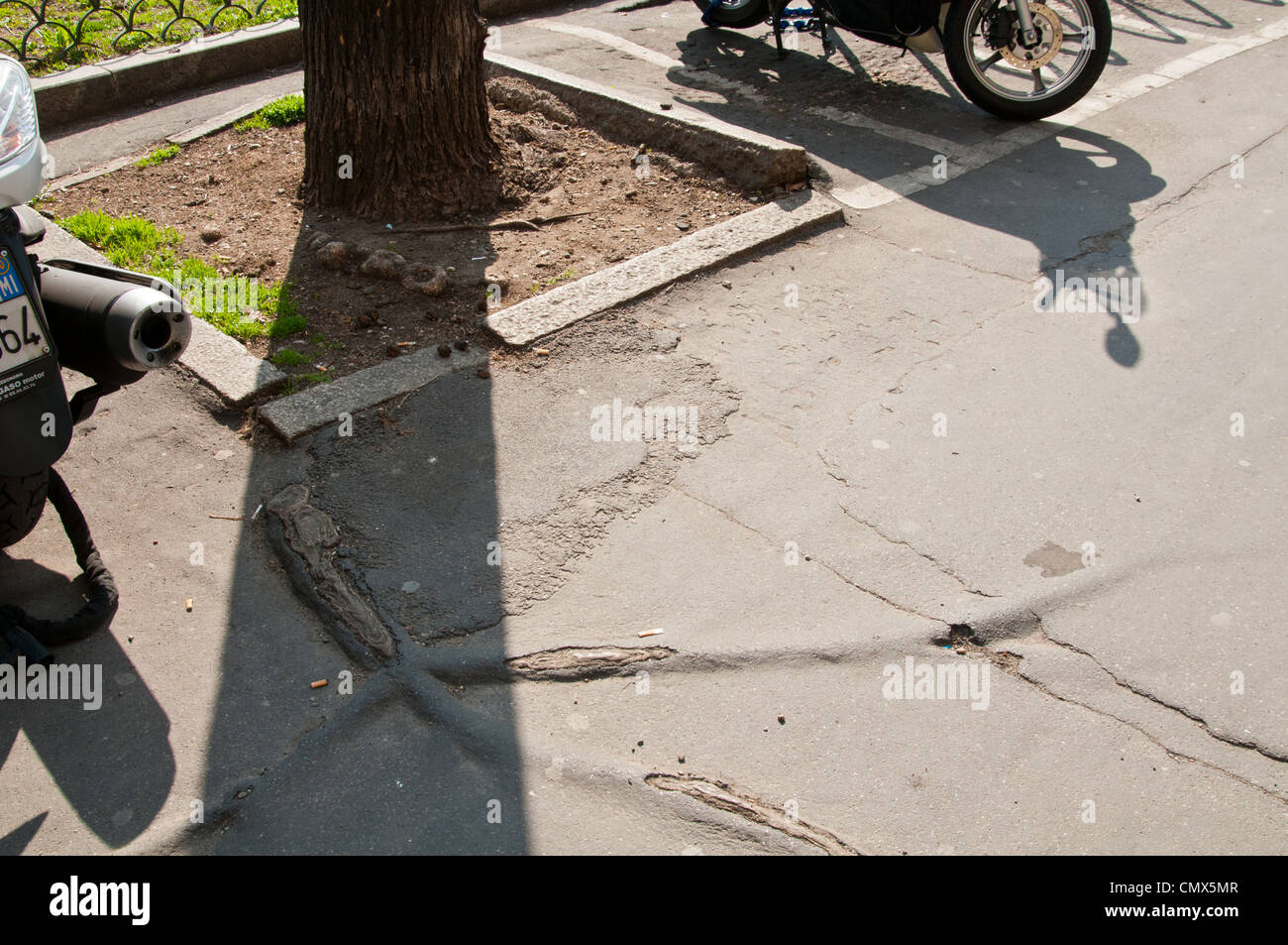Damage from tree roots to a city pavement / walkway Stock Photo - Alamy