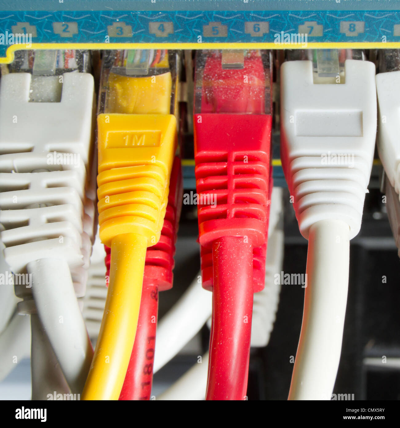 close up of network cables connected to switch Stock Photo - Alamy