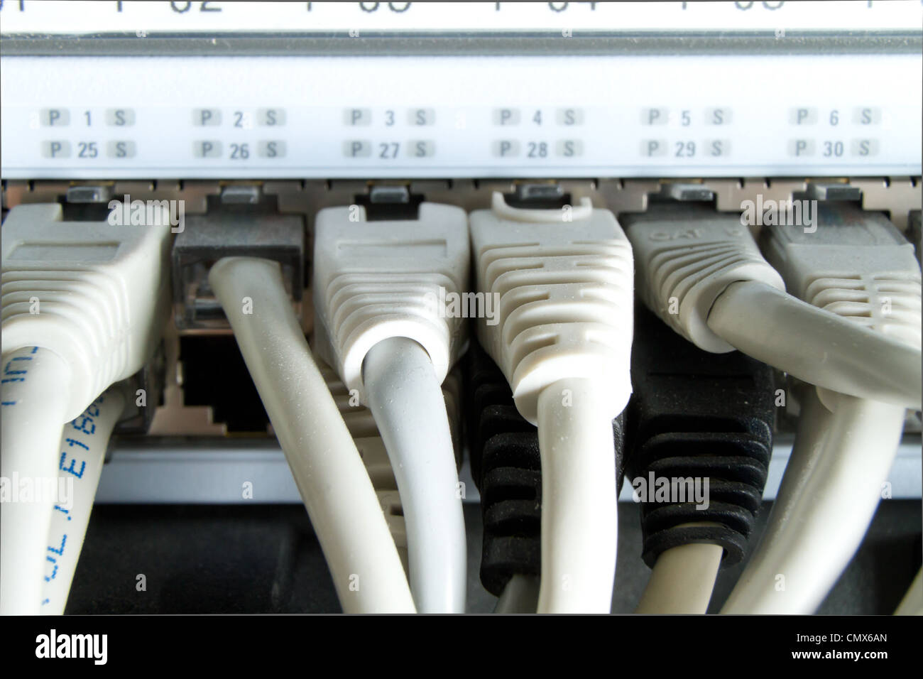 close up of network cables connected to switch Stock Photo - Alamy