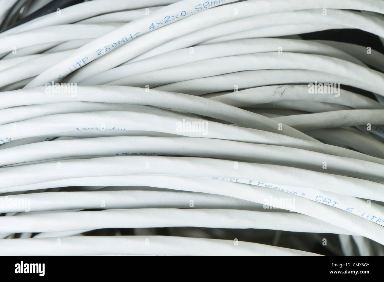 close up of network cables Stock Photo - Alamy