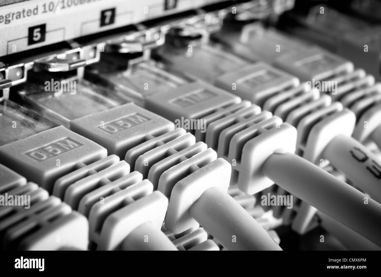 close up of network cables connected to switch Stock Photo - Alamy