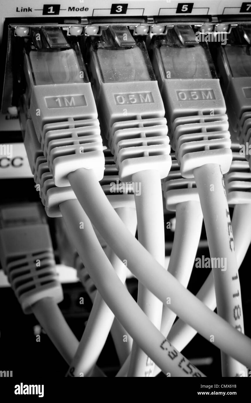 close up of network cables connected to switch Stock Photo - Alamy
