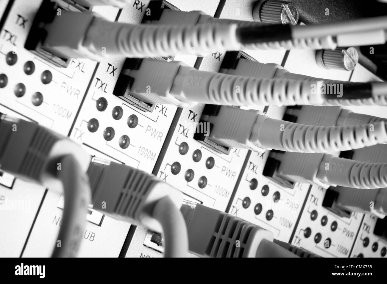 close up of network cables connected to switch Stock Photo - Alamy