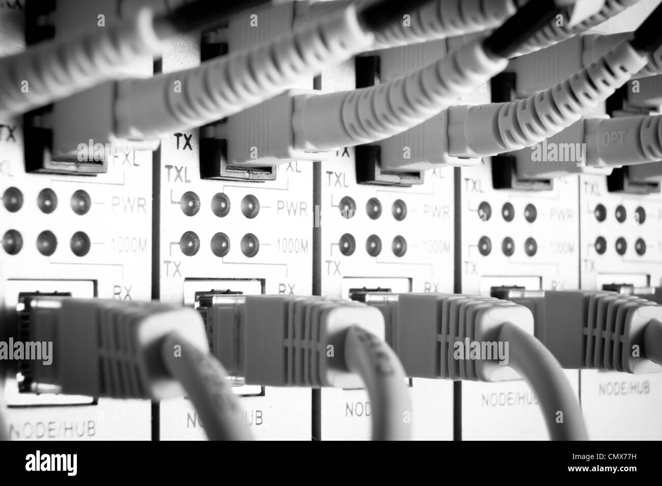 close up of network cables connected to switch Stock Photo - Alamy