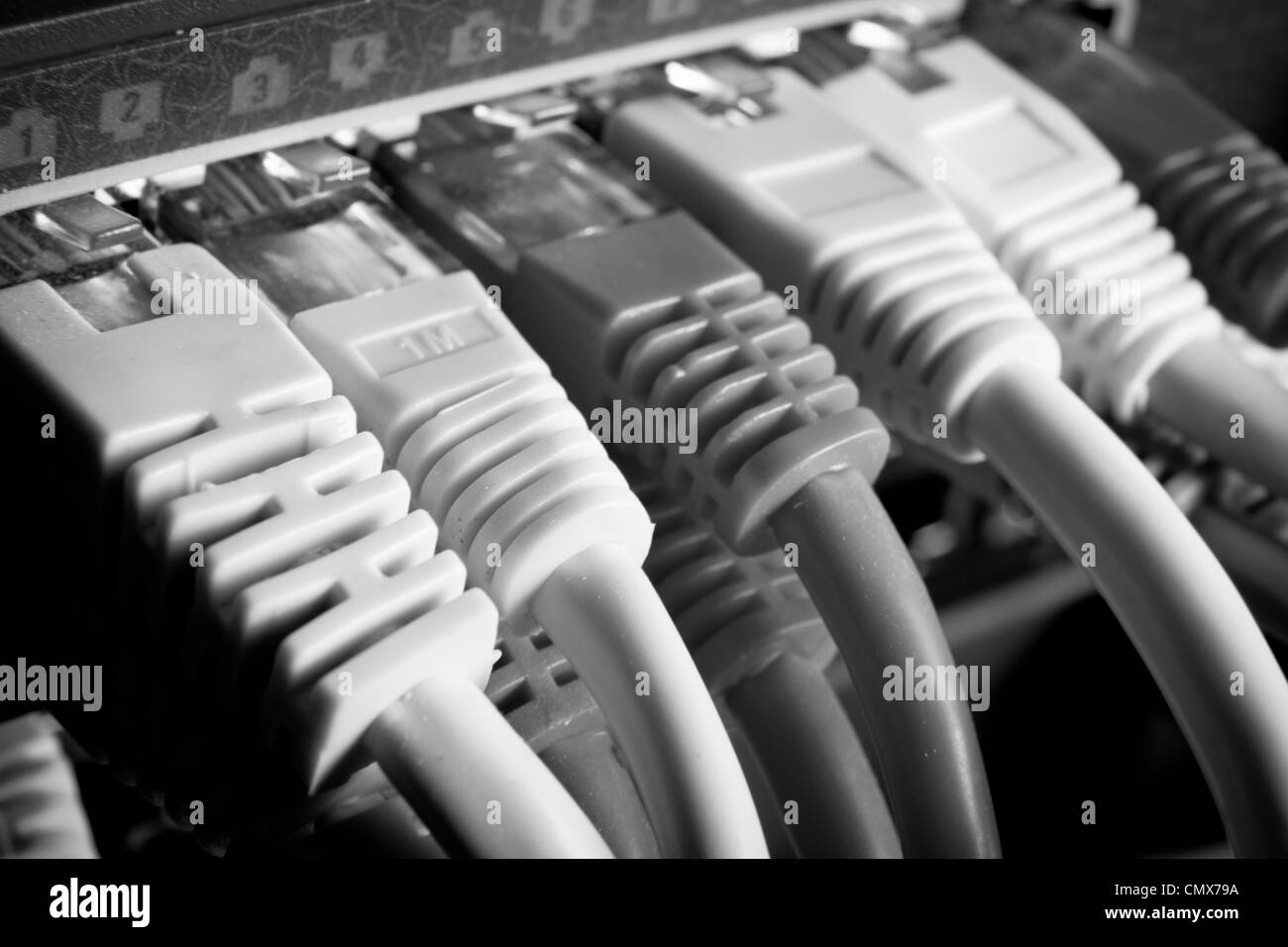 close up of network cables connected to switch Stock Photo - Alamy