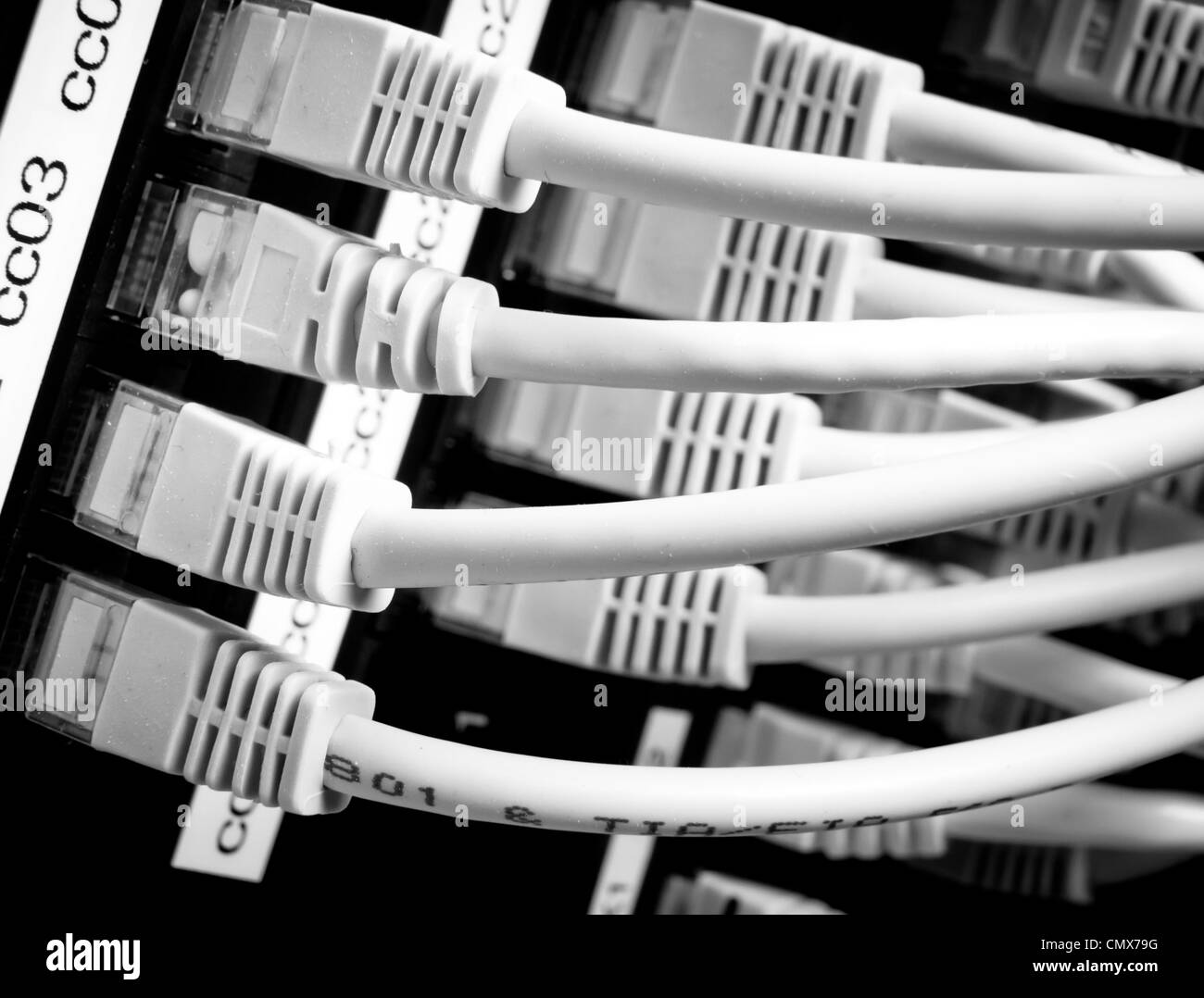 close up of network cables connected to switch Stock Photo - Alamy