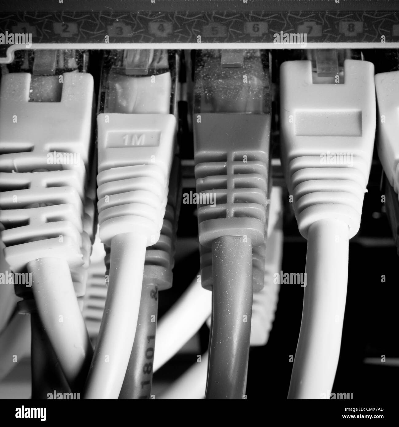 close up of network cables connected to switch Stock Photo - Alamy