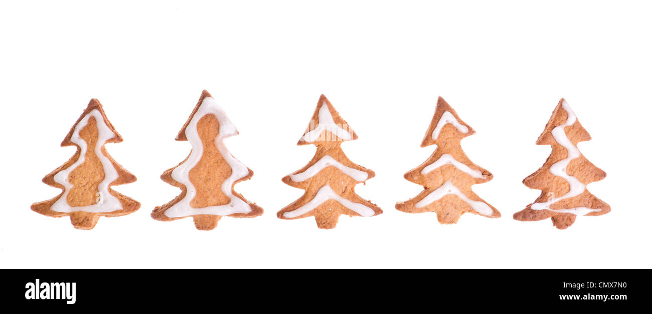 ginger trees isolated on white background Stock Photo - Alamy
