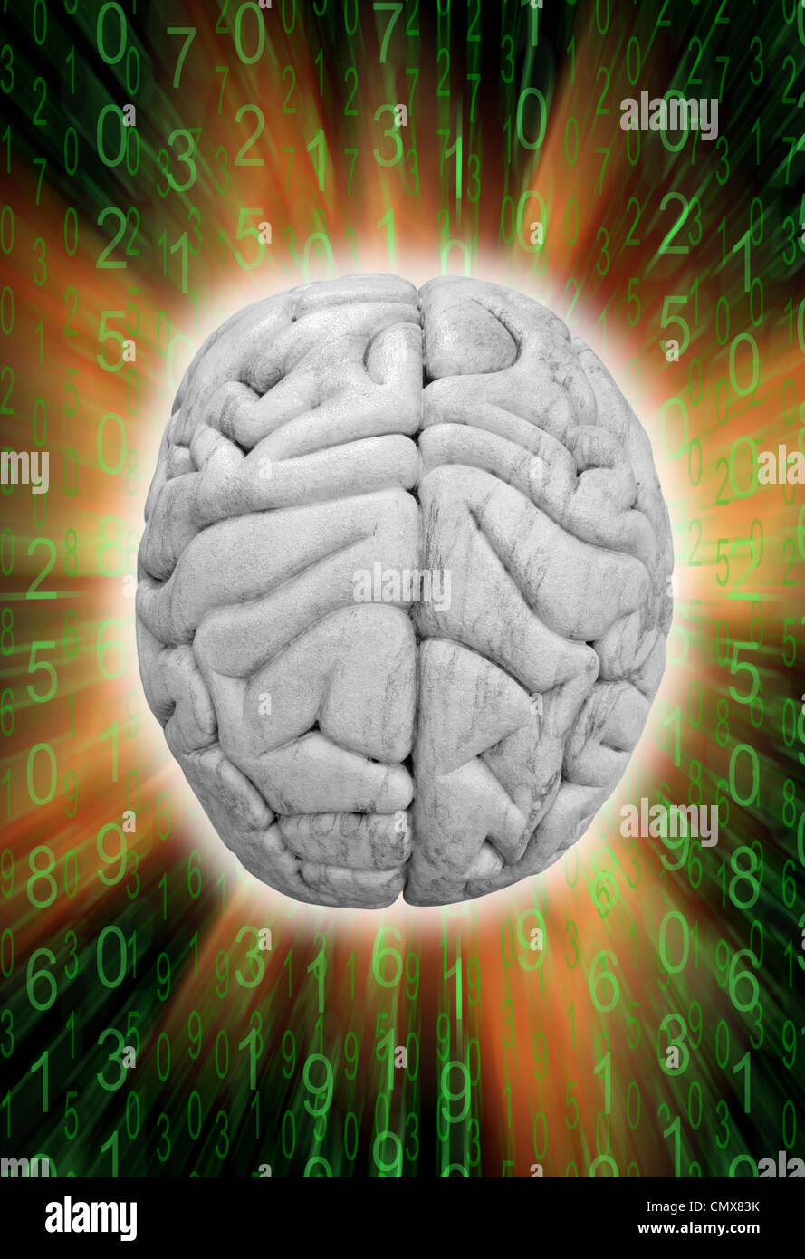 Brain with numbers emanating from it representing intelligence Stock ...