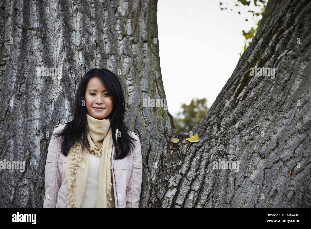 Trunk in use hi-res stock photography and images - Alamy