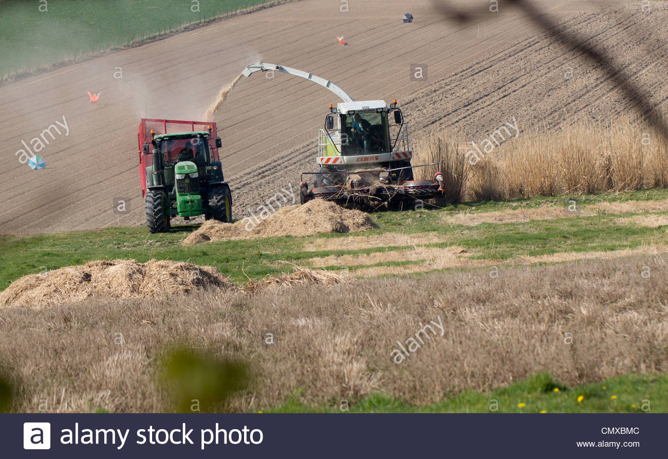 Crop Breeding High Resolution Stock Photography and Images - Alamy