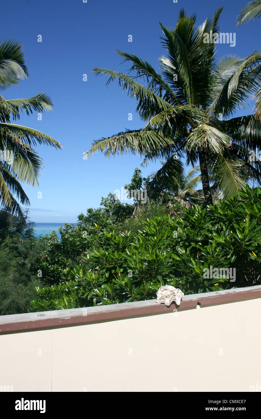 Balcony with a coconut palm view and ocean Stock Photo - Alamy