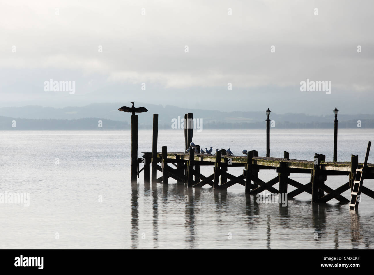 Germany, Bavaria, Upper Bavaria, Chiemgau, View of birds on jetty at ...