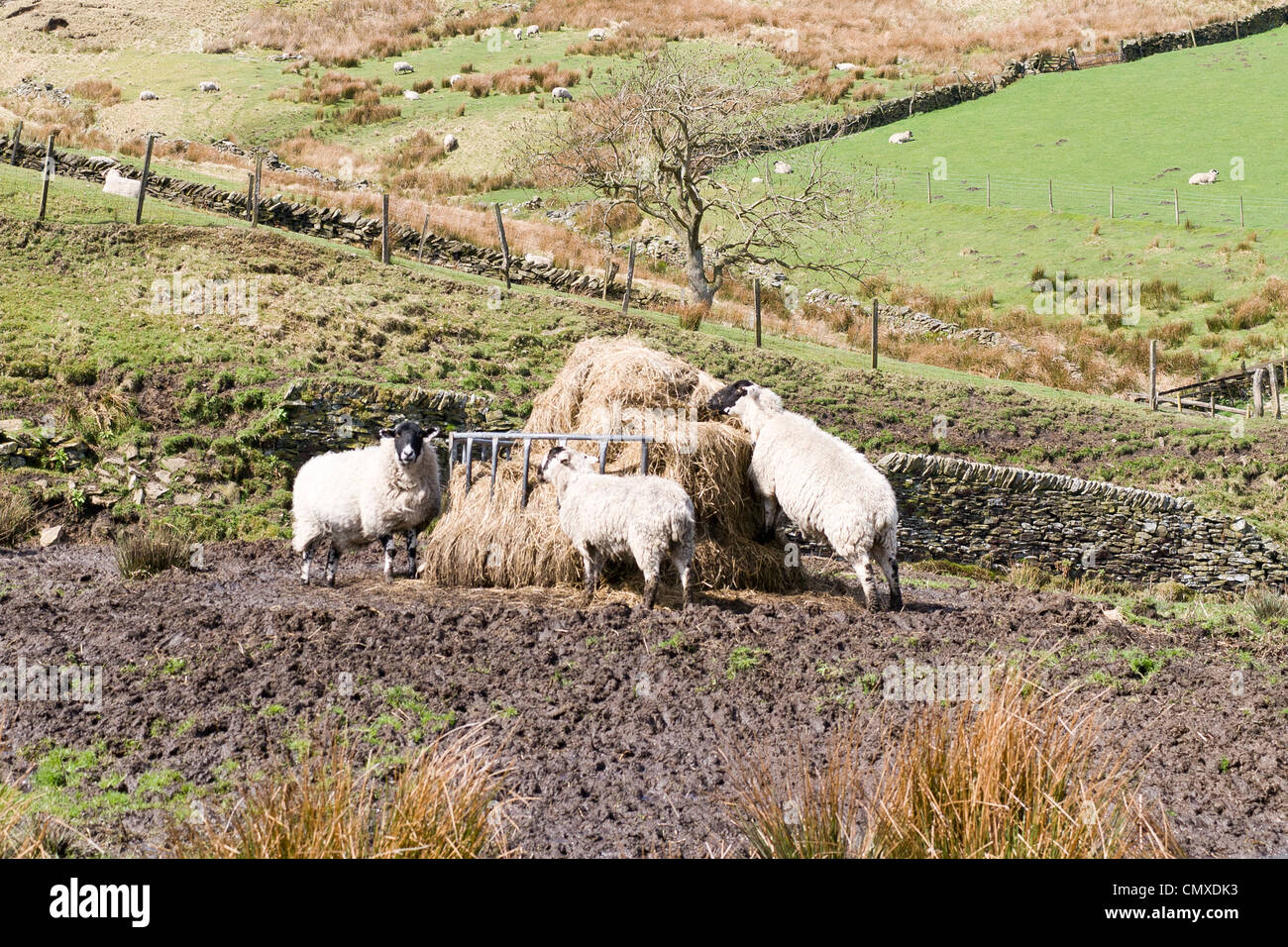 In pennines hi-res stock photography and images - Alamy