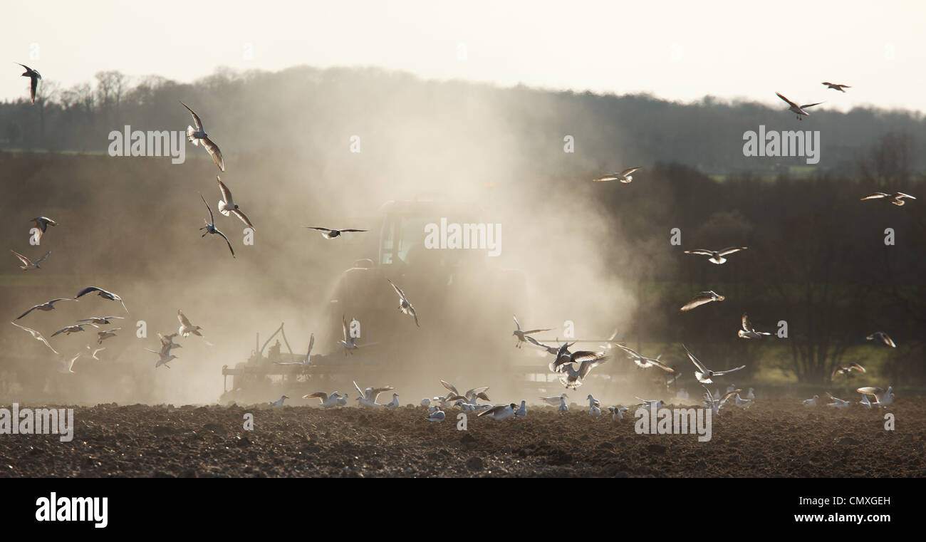 Farmers preparing a dry field under almost drought conditions for ...