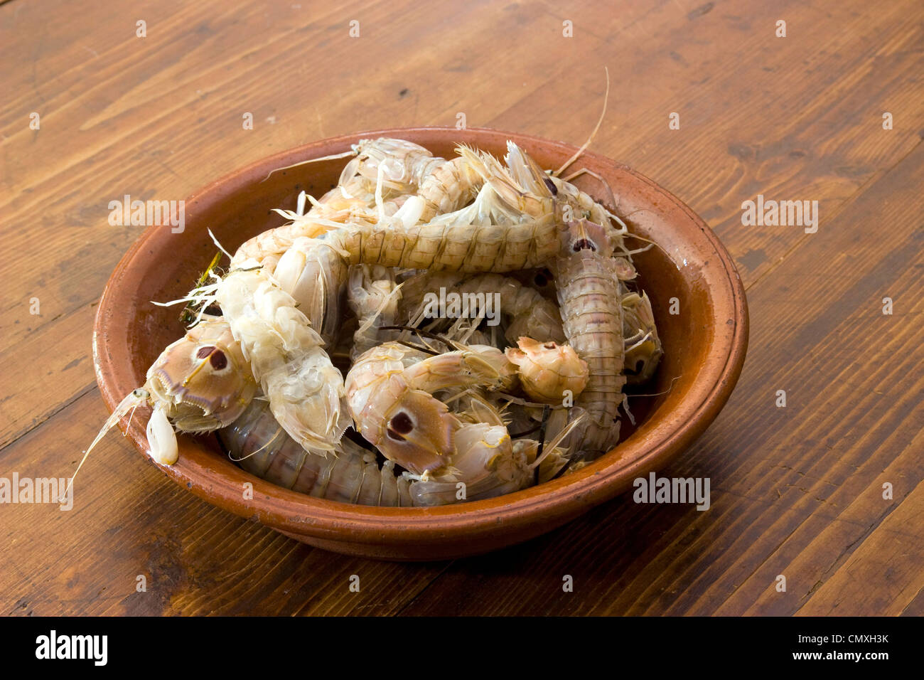 Mantis fish hi-res stock photography and images - Alamy