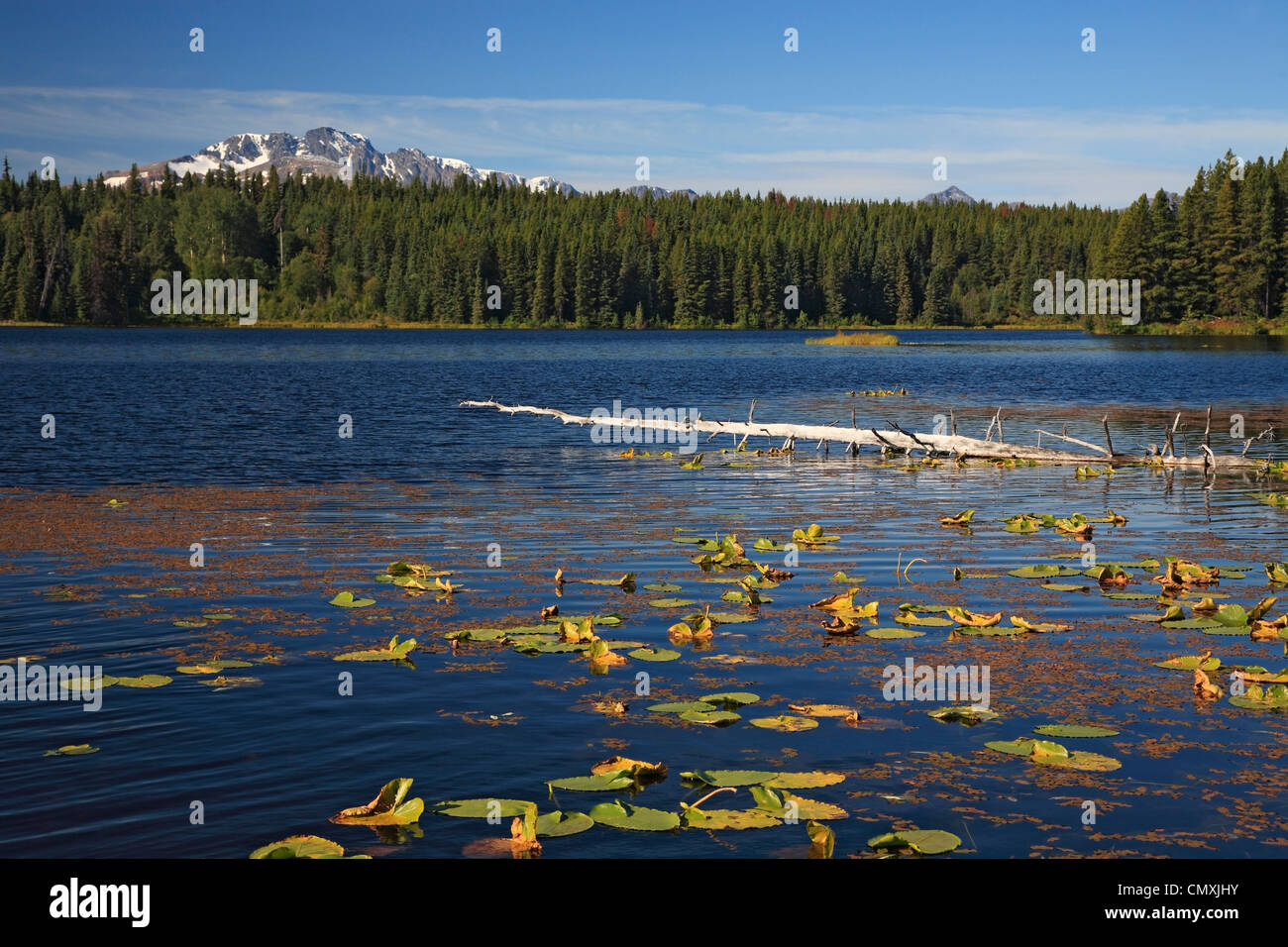 Babine lake hi-res stock photography and images - Alamy