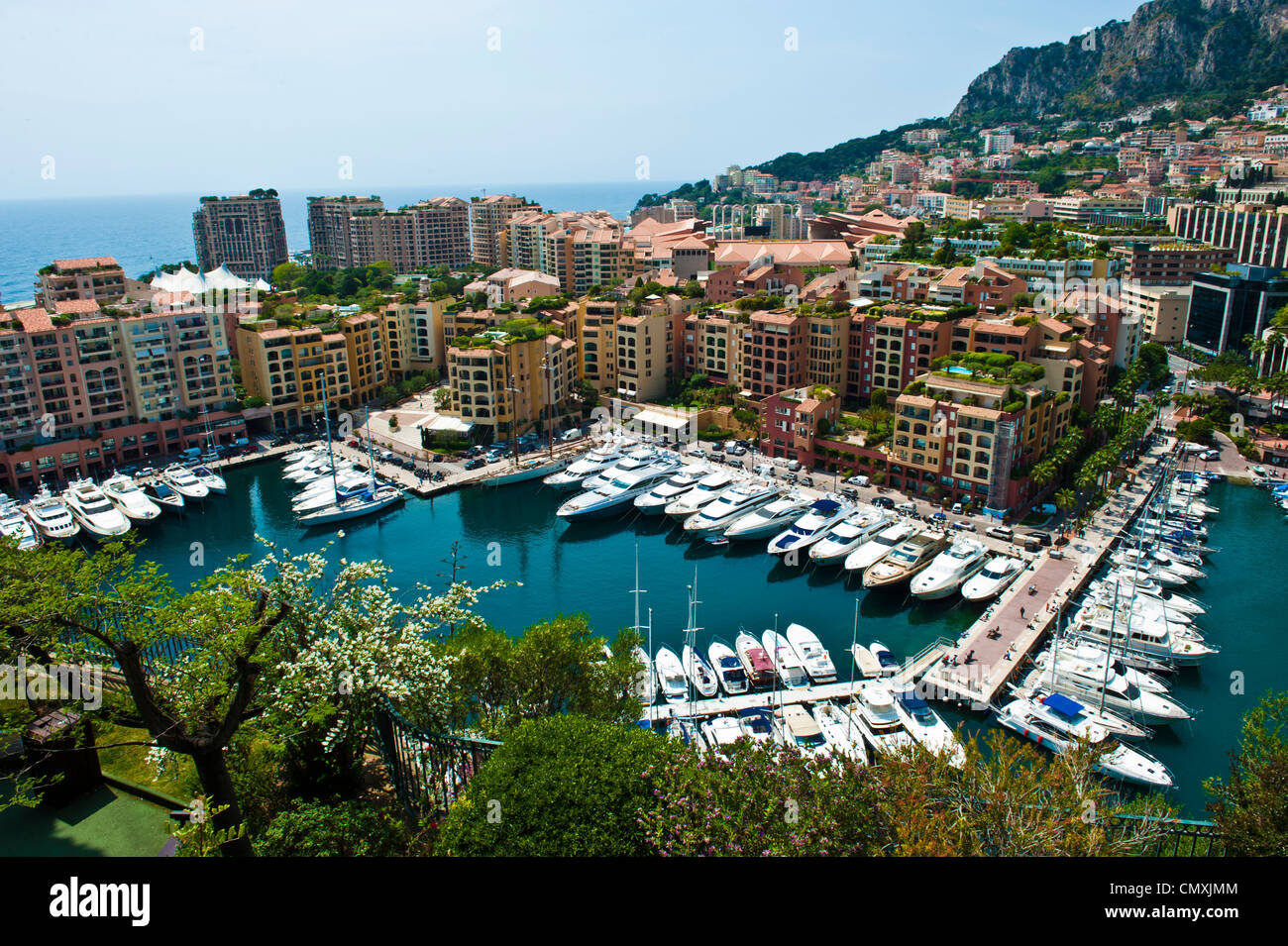 Lush vegetation on a balcony surrounding Monaco architecture and yachts ...