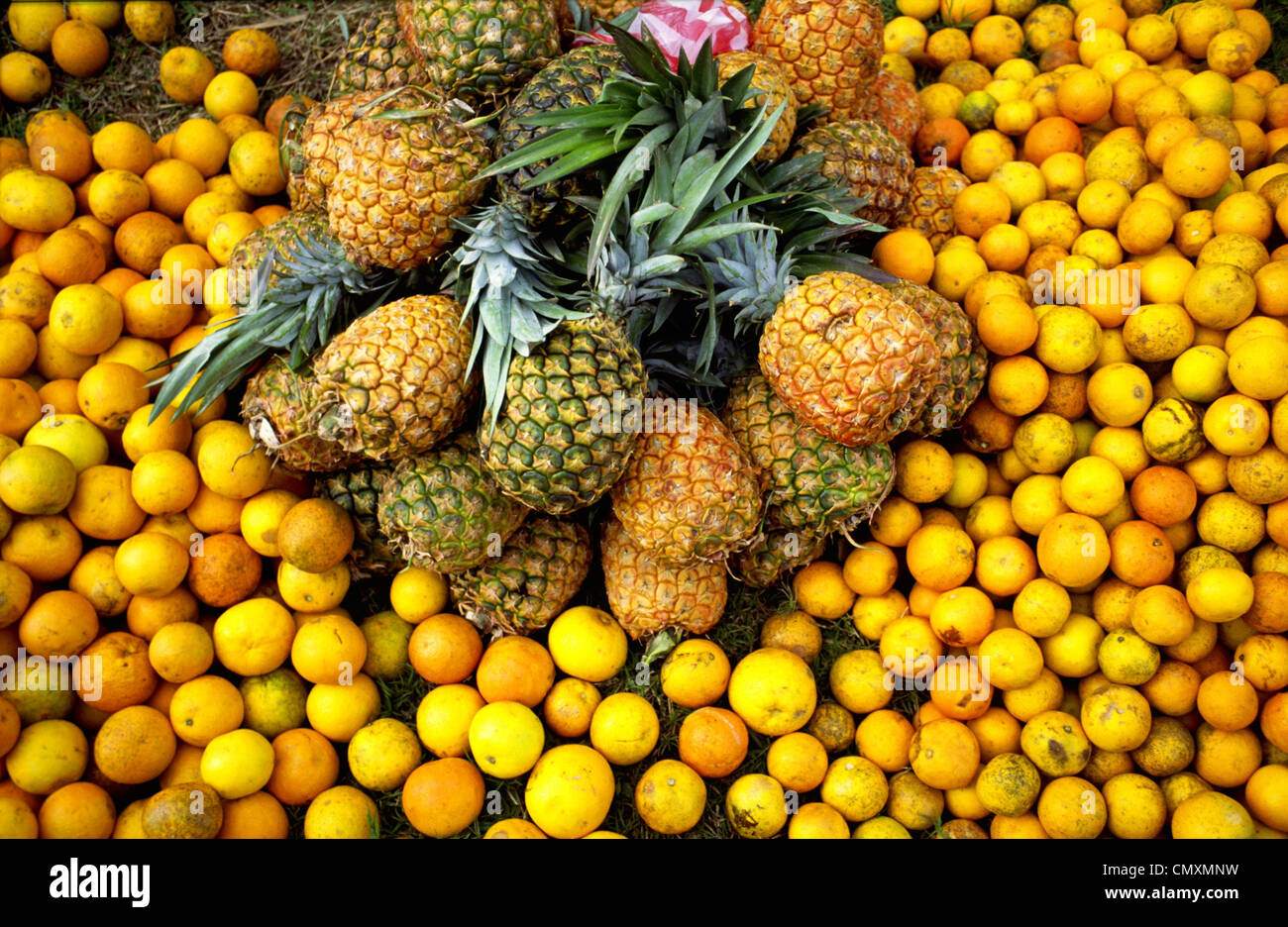 Troical fruit, pineapple, lemon Stock Photo - Alamy