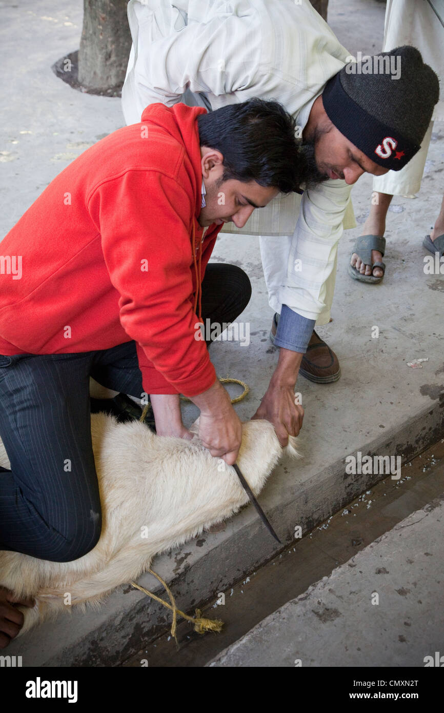 Indian sacrifice hi-res stock photography and images - Alamy