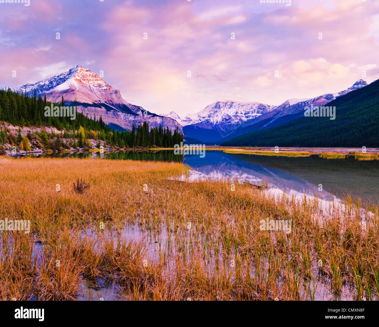 Mount mount kitchener hi-res stock photography and images - Alamy