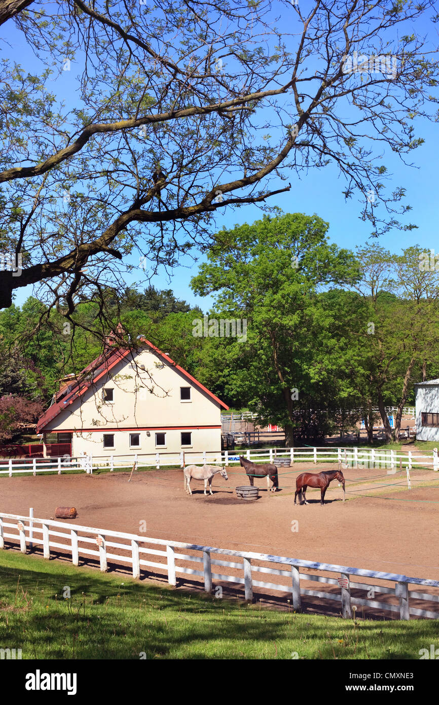 Sunnybrook park toronto hi-res stock photography and images - Alamy