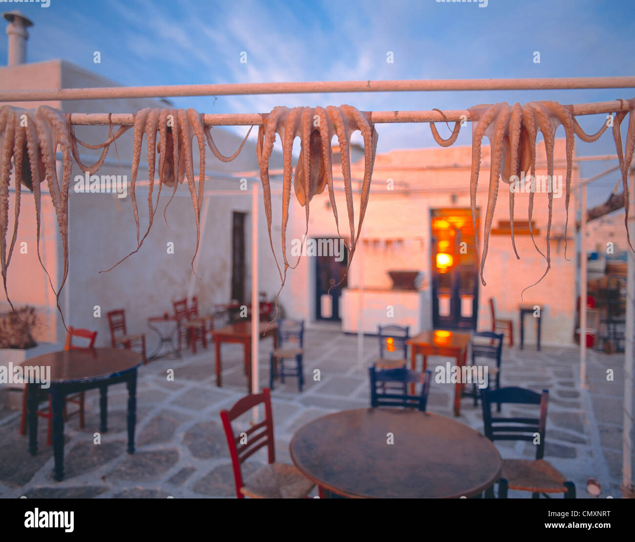 Greece, Paros, Octopus Stock Photo - Alamy