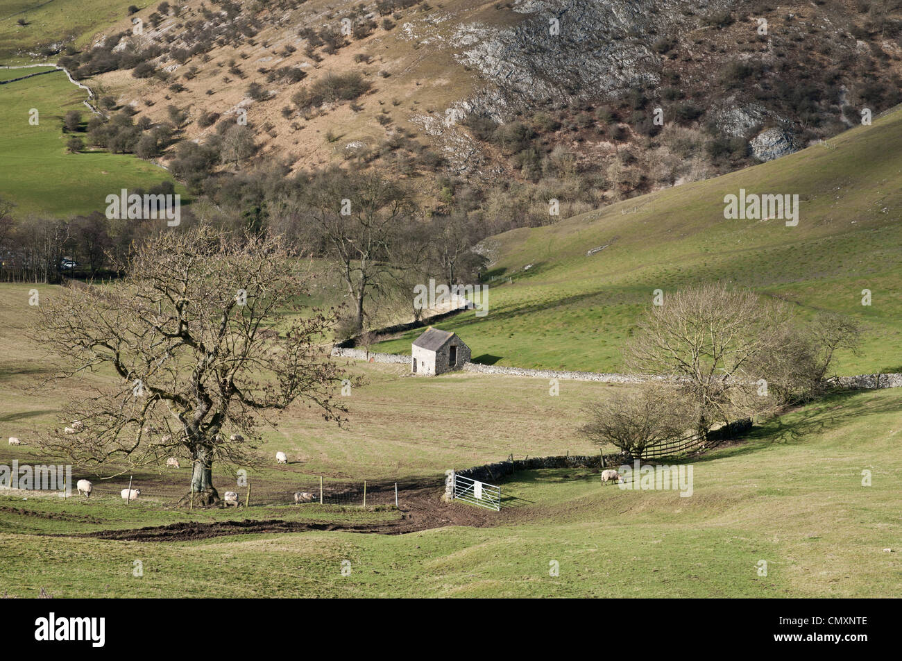 Dovedale, Peak District, Derbyshire Stock Photo - Alamy