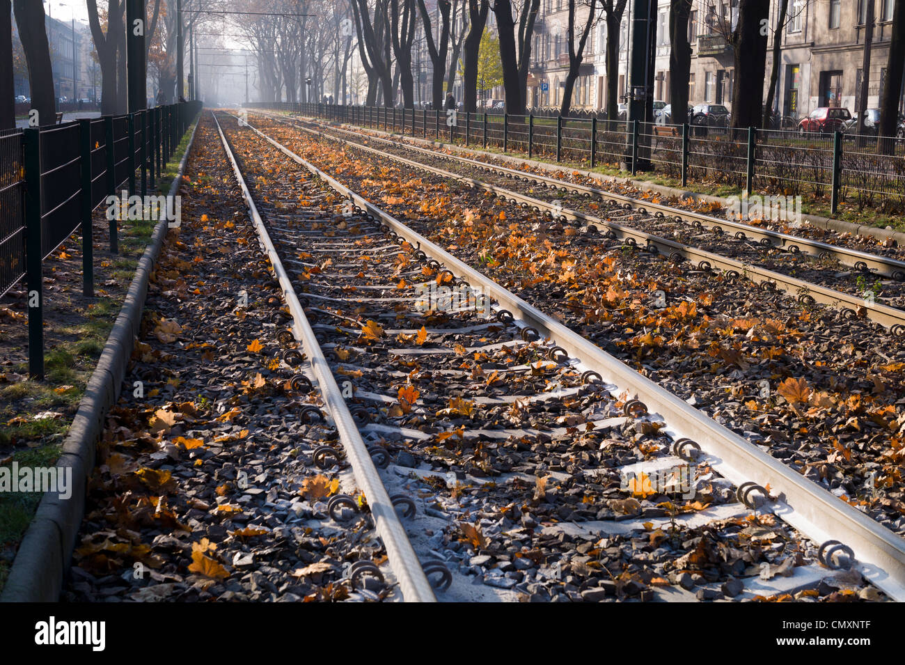 Leaf covered railway tracks hi-res stock photography and images - Alamy