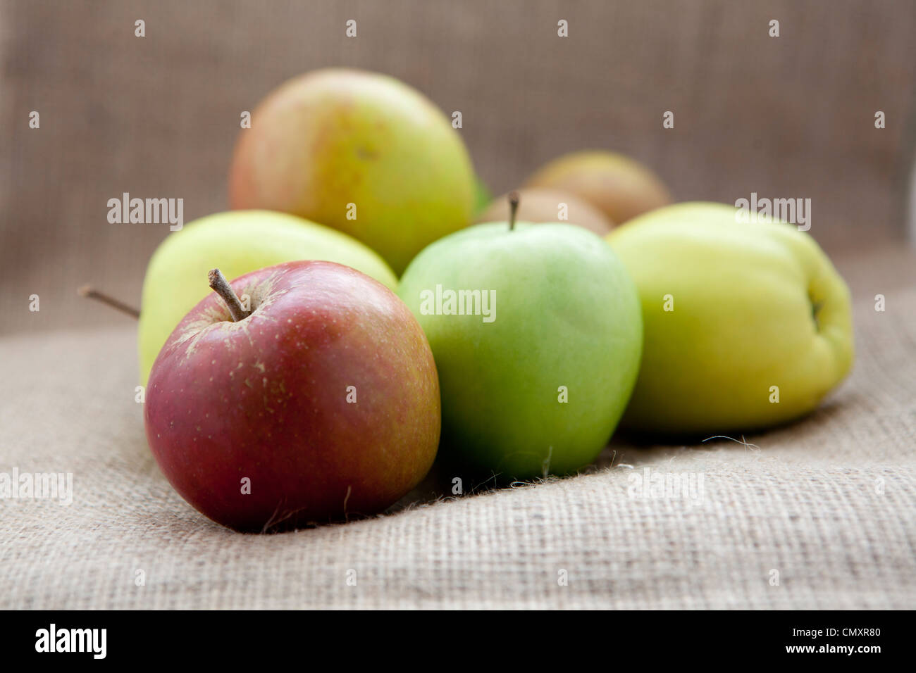 Natural selection hi-res stock photography and images - Alamy