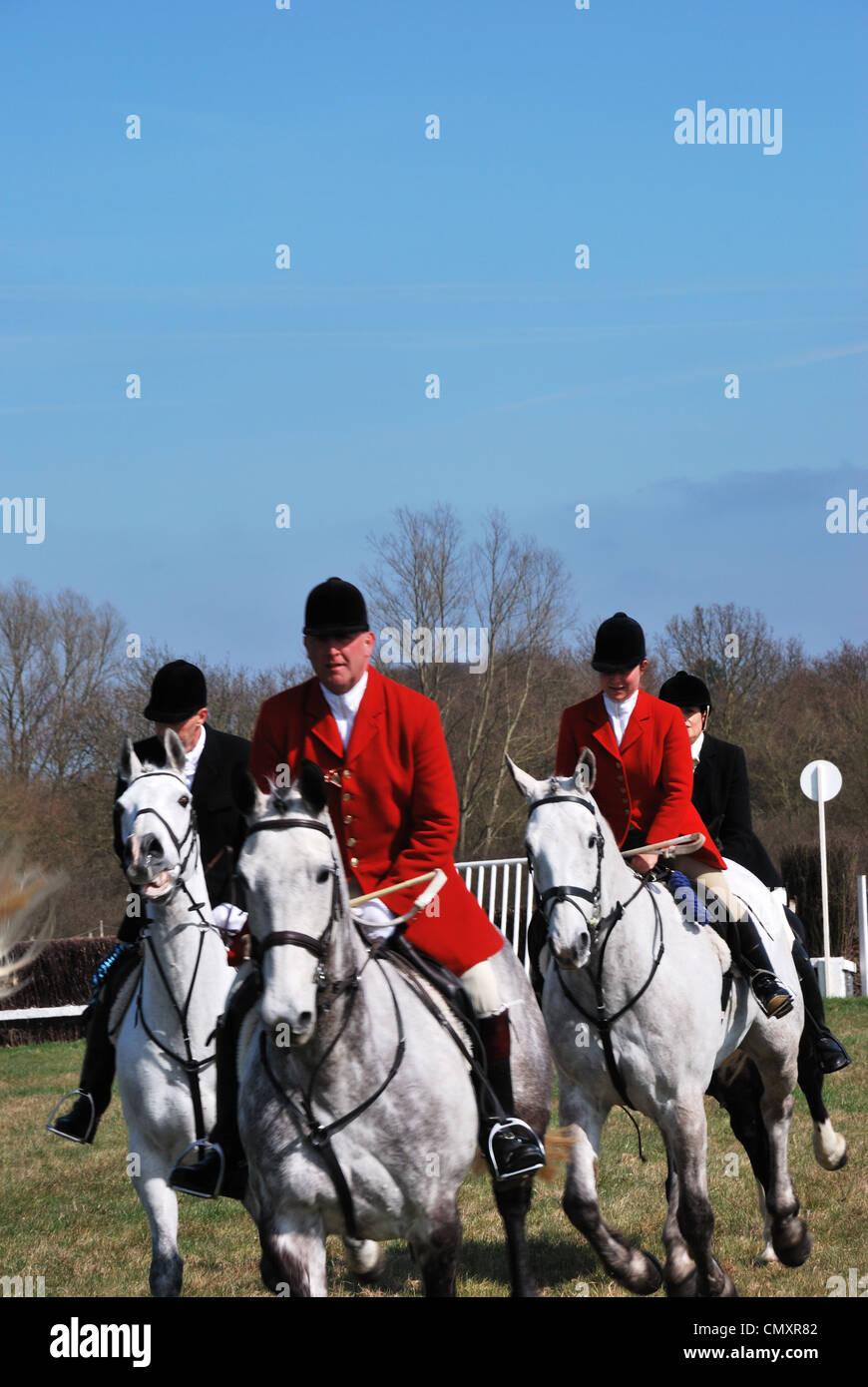 Hunt riders at racecourse Stock Photo - Alamy