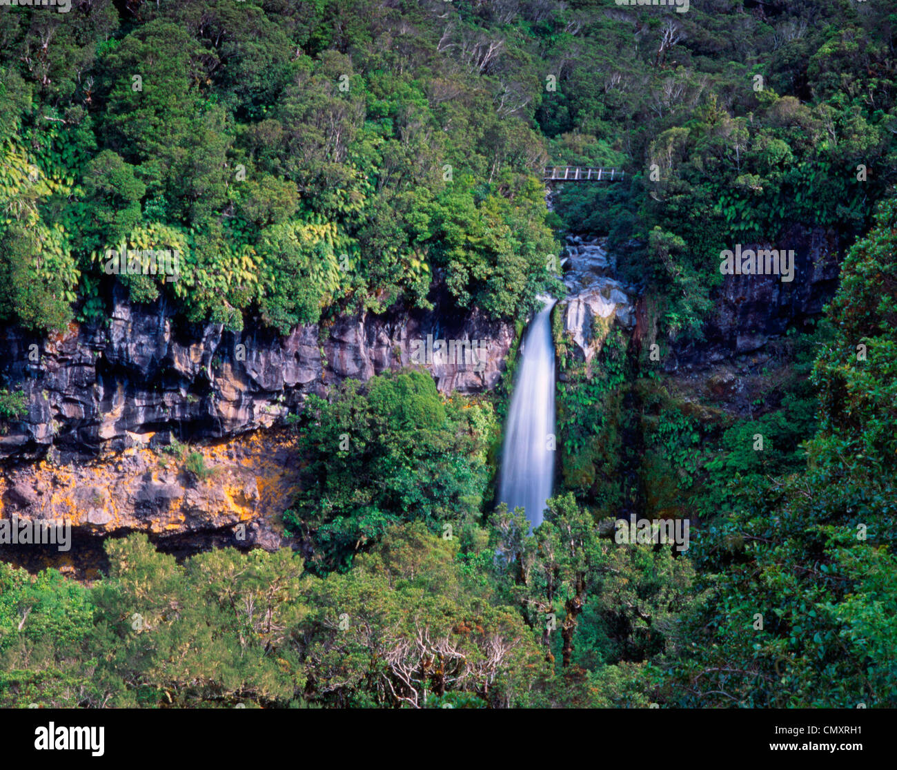 New Zealand, Mount Egmond national park, north island, Dawson falls ...