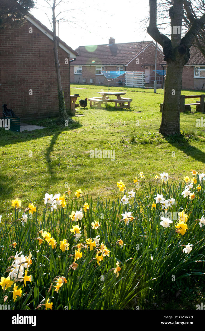 Ledston Luck in springtime Stock Photo - Alamy